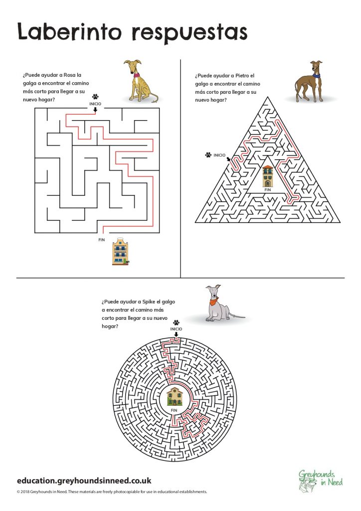 Teaching Resources | Greyhounds In Need