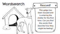 Teaching Resources | Greyhounds In Need